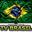 About: Brazil TV (Google Play version) | | Apptopia