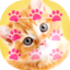 About: 🐾 Kitty Cat Pattern Lock Screen 🐾 (Google Play version) | | Apptopia