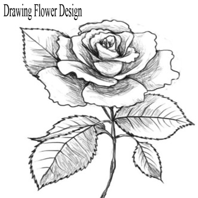 Sketch Flower Design
