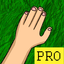 About: Grass Touching Simulator PRO (Google Play version) | | Apptopia