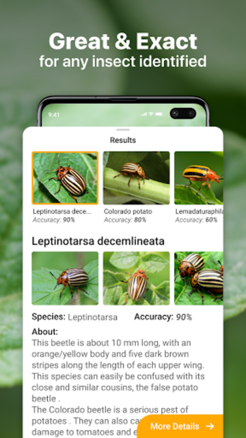 Insect Identifier Reliable Reputation | www.pinnaxis.com