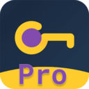 App Insights: VPN Master Pro | Apptopia