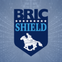 App Insights: BRIC Shield | Apptopia