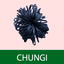 About: Chungi Game (Google Play version) | | Apptopia