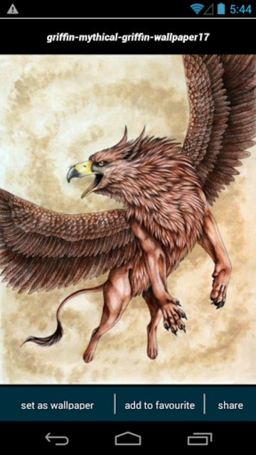 Griffins Mythical Creatures Wallpaper