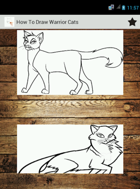 How To Draw A Warrior Cat Step By Step