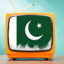 About: Pakistan TV (Google Play version) | | Apptopia