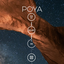 About: Poya Homescreen (Google Play version) | | Apptopia