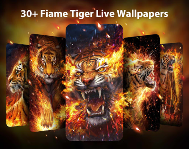 Fire And Water Tiger Wallpaper