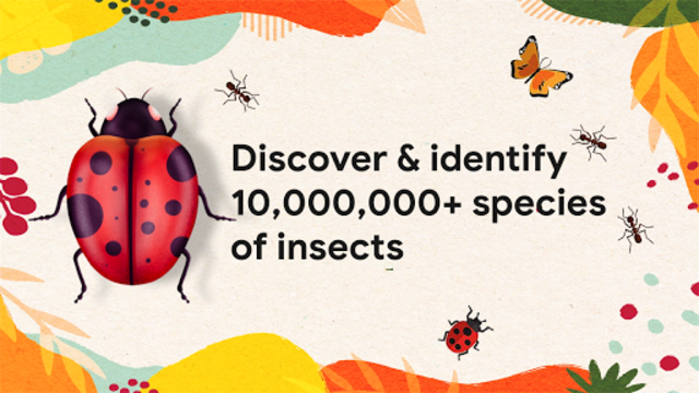 About: Insect identifier app - identity insects (Google Play version ...