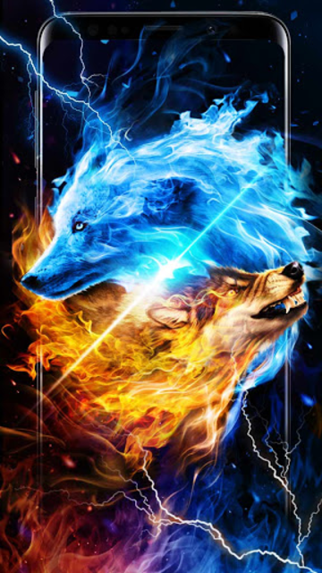 Cool Fire Wolf Wallpapers