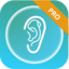 About: Rhyme Time Professional: Rhyming Dictionary (Google Play version ...