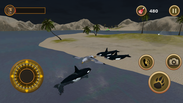 About: Orca Survival Simulator (iOS App Store version) | Orca Survival Simulator | iOS App Store ...